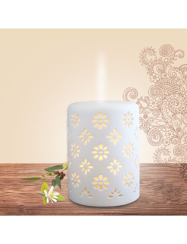 Diffuseur Aromatique Cocon | Argandia